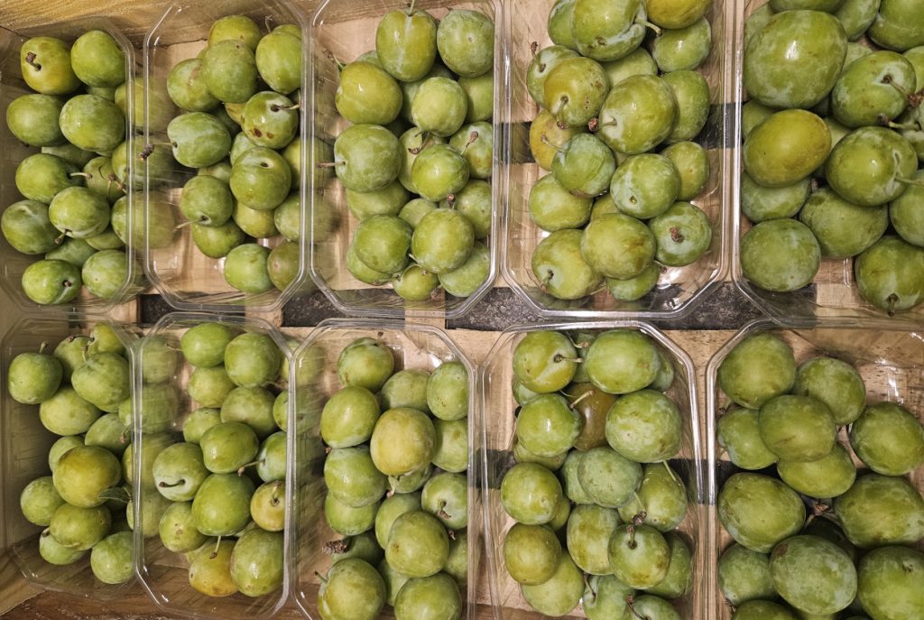 Green Gage Plums - Four Seasons Fruiterers