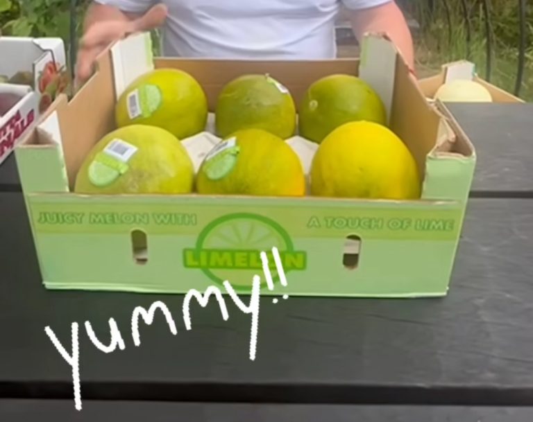 Limelon! - Four Seasons Fruiterers