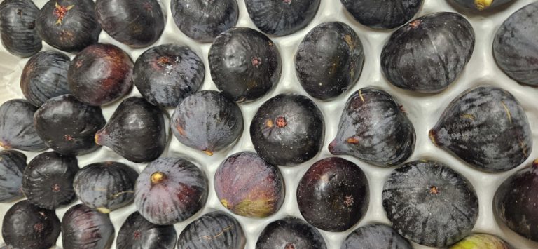 French Figs - Four Seasons Fruiterers