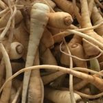 Four Seasons Fruiterers