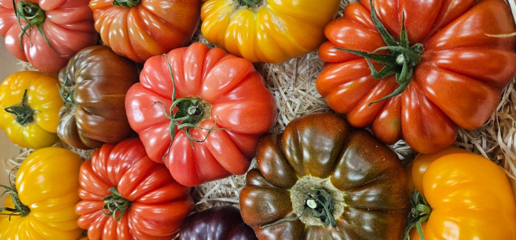 A Guide to Seasonal British Vegetables and Salad Leaves in July - Four ...