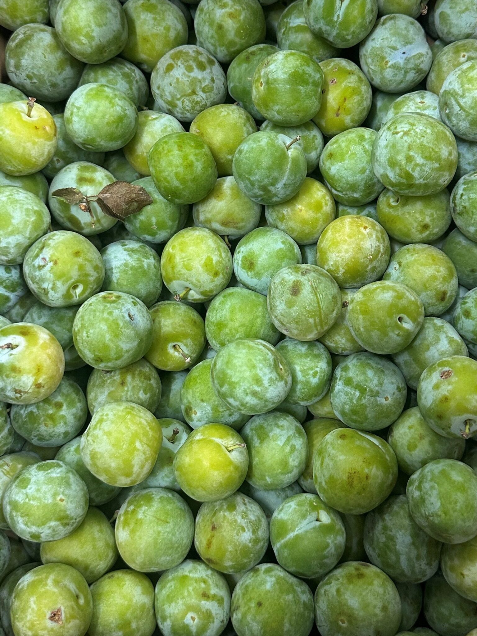 Seasonal British Fruits In August - Four Seasons Fruiterers