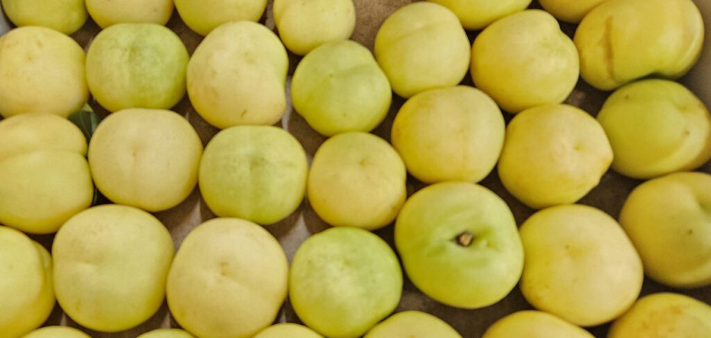 Italian White Peaches - Four Seasons Fruiterers
