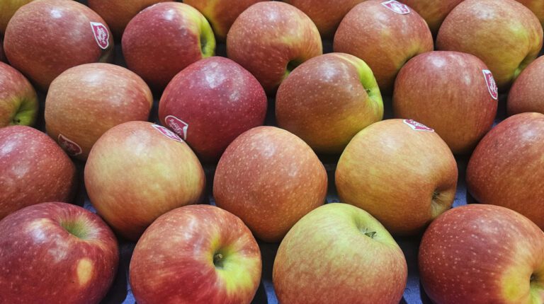 Exploring 9 Delicious Varieties of UK Grown Apples - Four Seasons ...