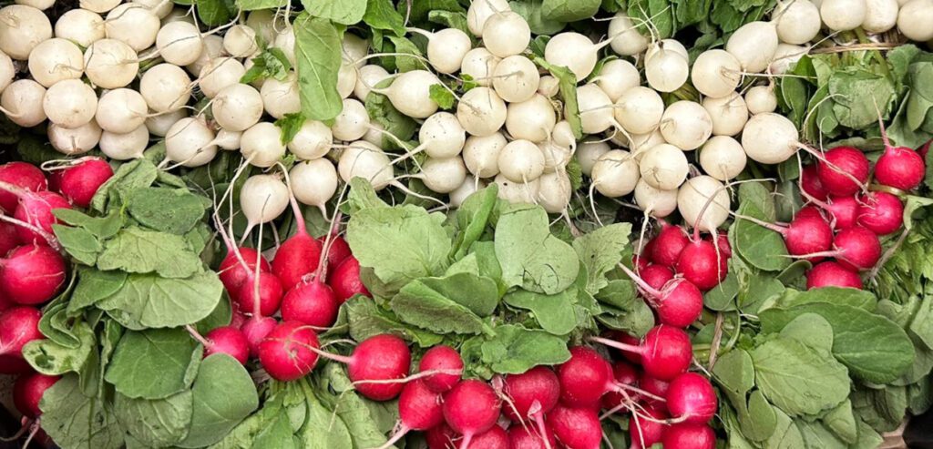 Four Seasons Fruiterers