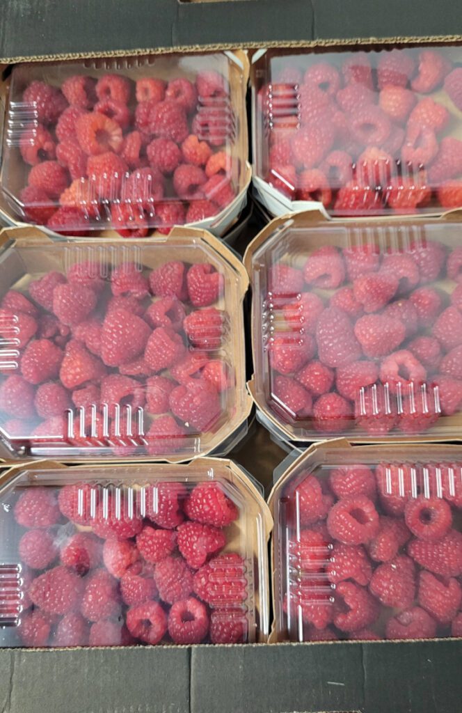 Seasonal British Fruits in September - Four Seasons Fruiterers