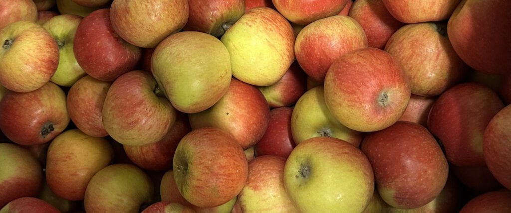 Windsor Apples - Four Seasons Fruiterers